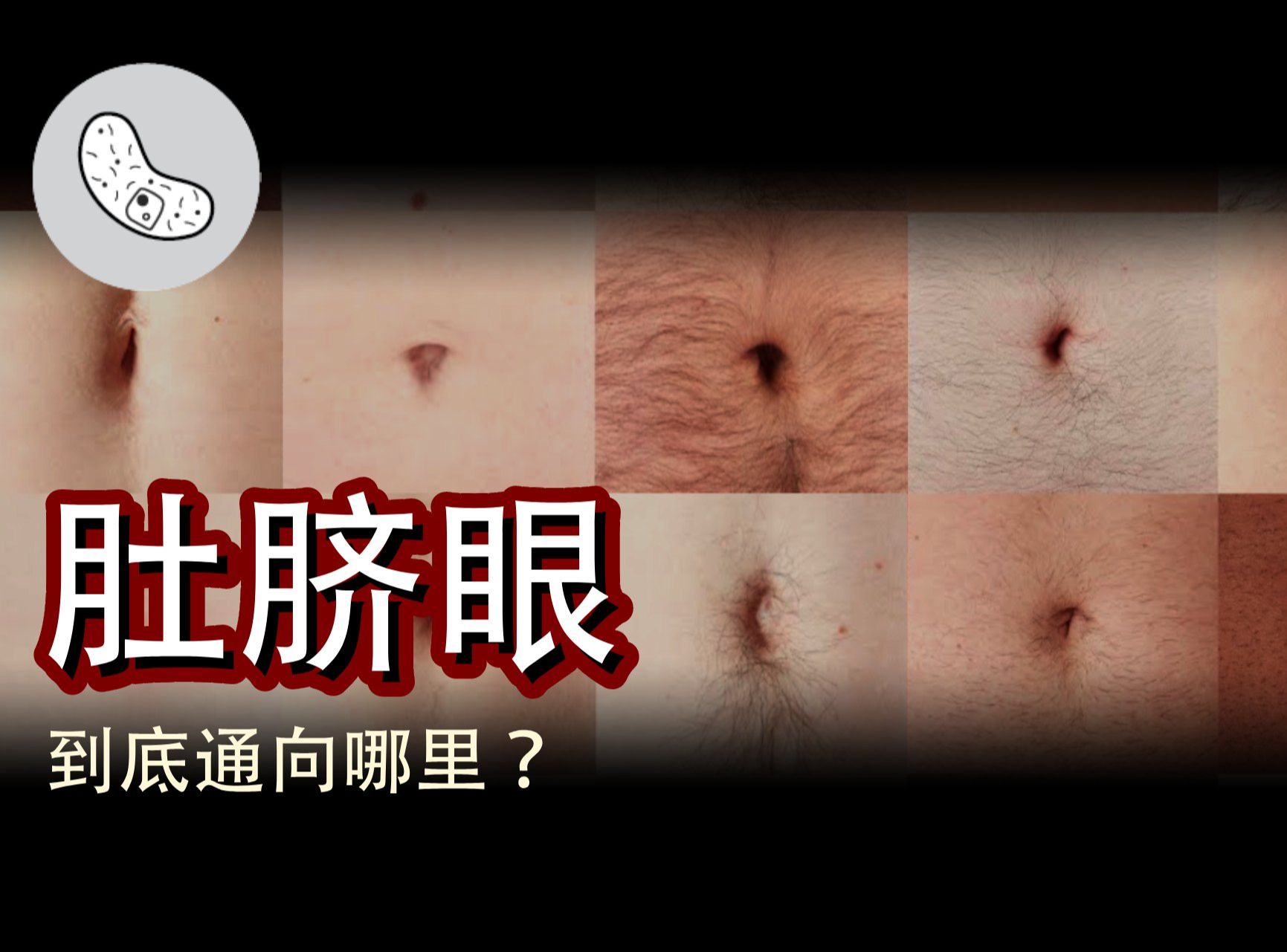 【肚脐眼通向哪】一扣肚脐就想尿尿?竟是细菌培养皿?