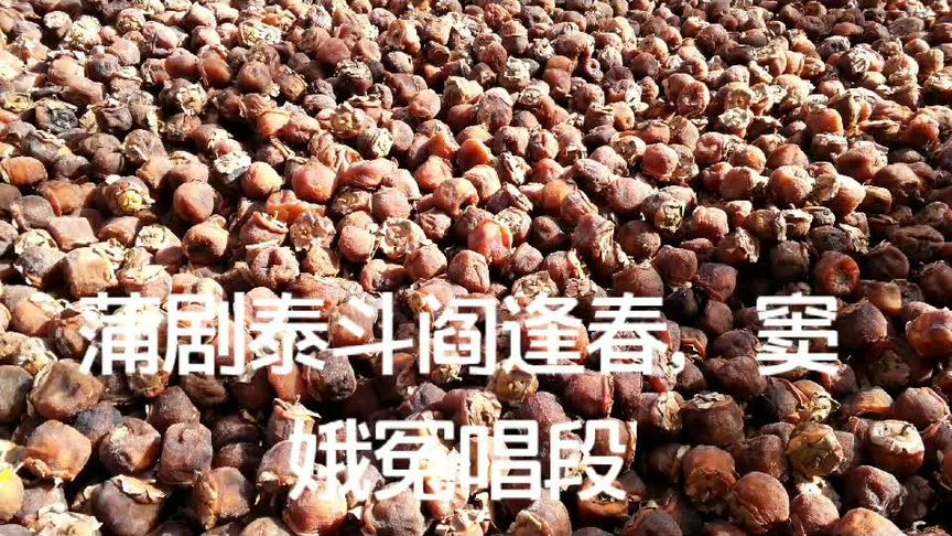 蒲剧泰斗阎逢春,窦娥冤唱段#蒲剧 #蒲剧名家名段