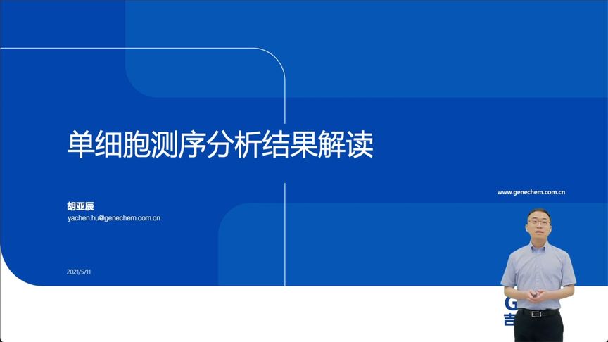 单细胞测序分析结果解读