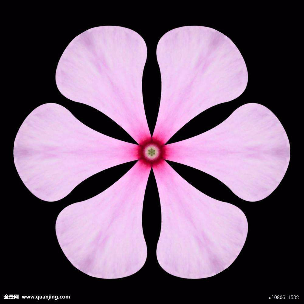 青岛芒果 