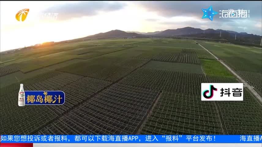 全省启用试行食用农产品合格证制度