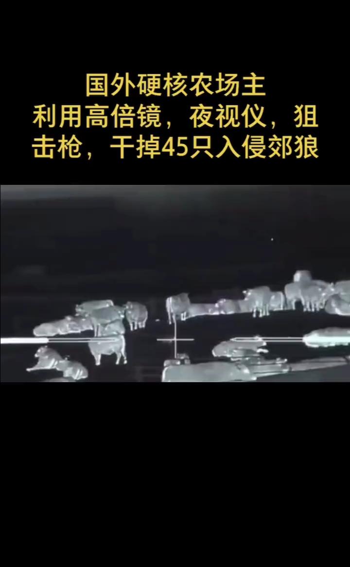 国外合法使用枪支。国内请勿模仿