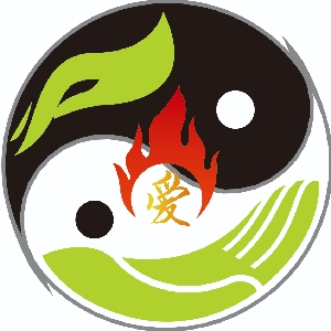 赤子太极内功禅拍 