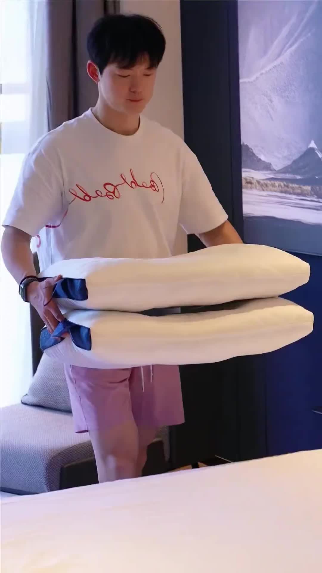 枕头家用学生宿舍护颈椎枕助睡眠枕芯成人防螨单人#枕头#护颈枕