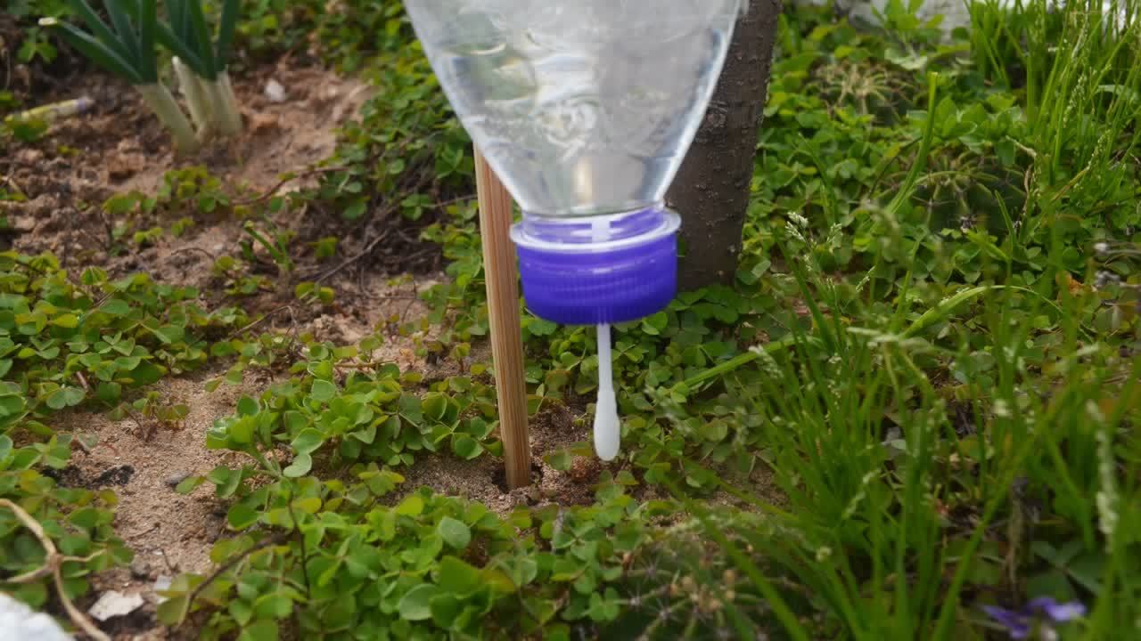 一个塑料瓶一根棉签,教你做自动浇花器,再不担心花草没人浇水了