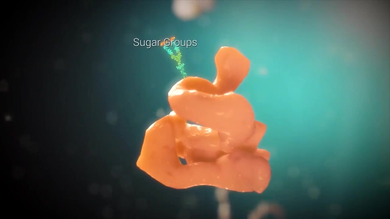 生物学动画