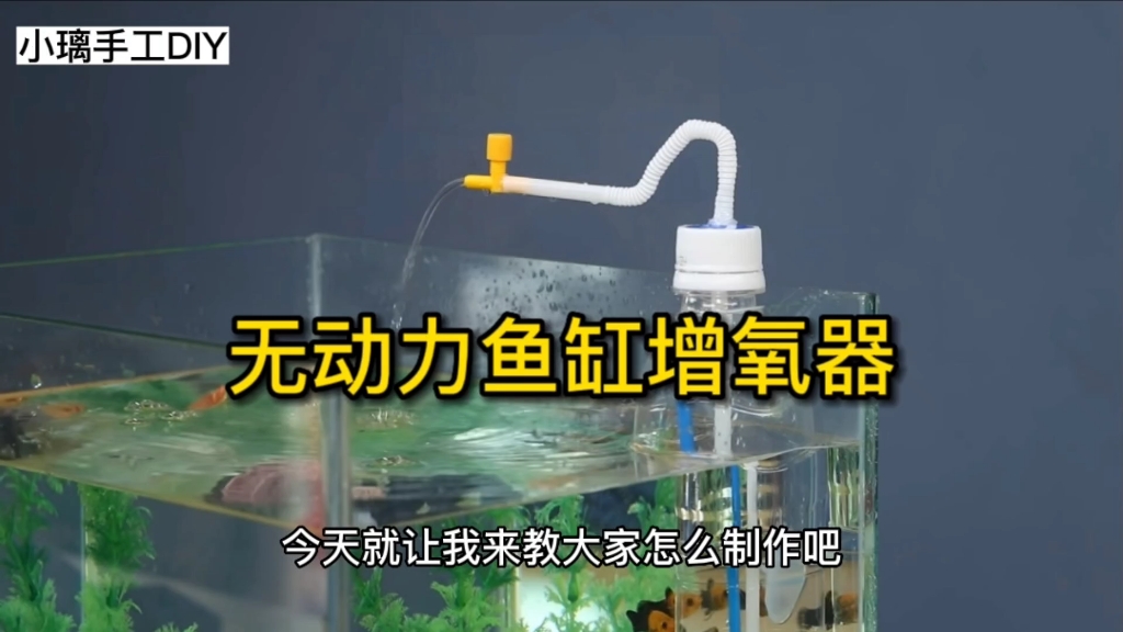 用两个塑料瓶,就能制作一个无动力鱼缸增氧器