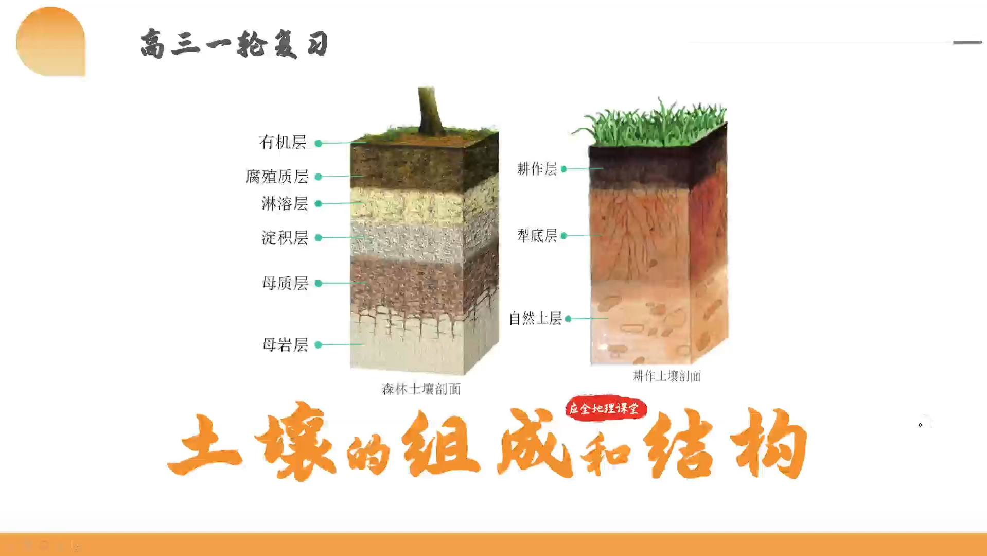 【高三一轮复习】84土壤的组成和结构