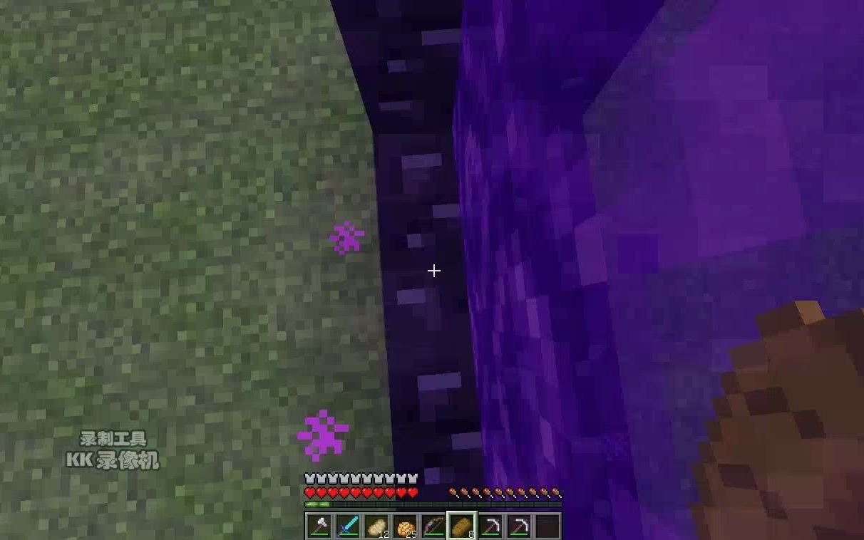 我的世界,地狱打凋灵。