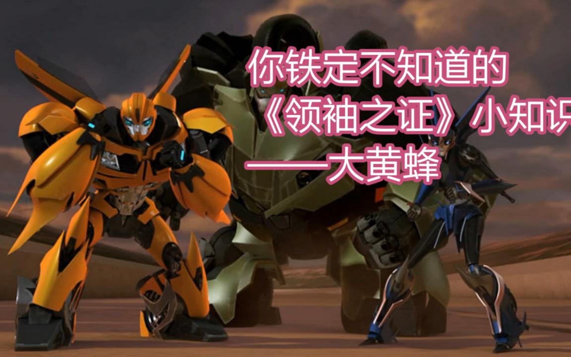 【动画之外】第四期——大黄蜂的小知识