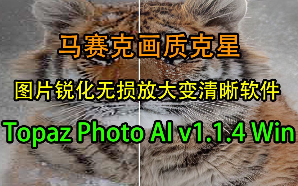 马赛克画质克星!破解版图片锐化放大清晰软件 Topaz Photo AI v1.1.4 ...