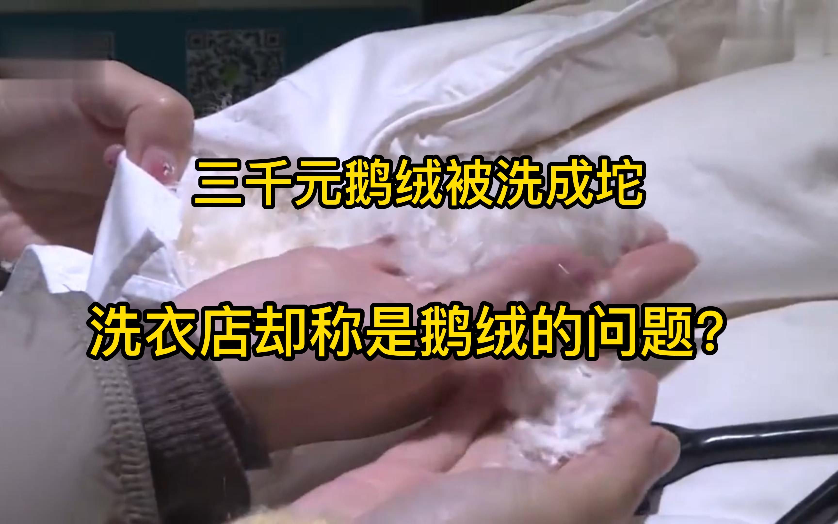 三千元鹅绒被洗成坨,洗衣店却称是鹅绒的问题?