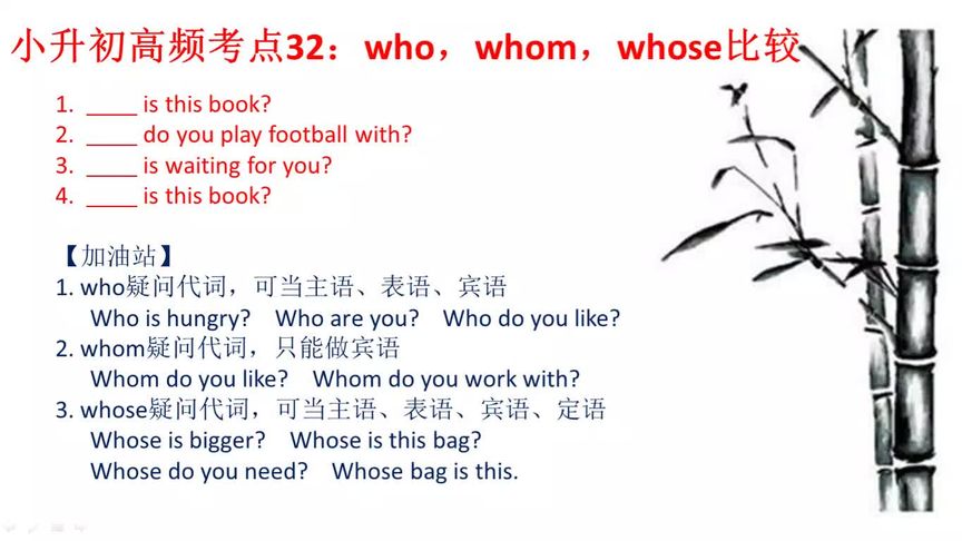 小升初高频考点32：who，whom，whose的用法——学浪计划