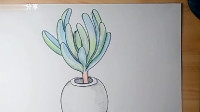 彩铅画, 好看易上手, 一看就会哦!