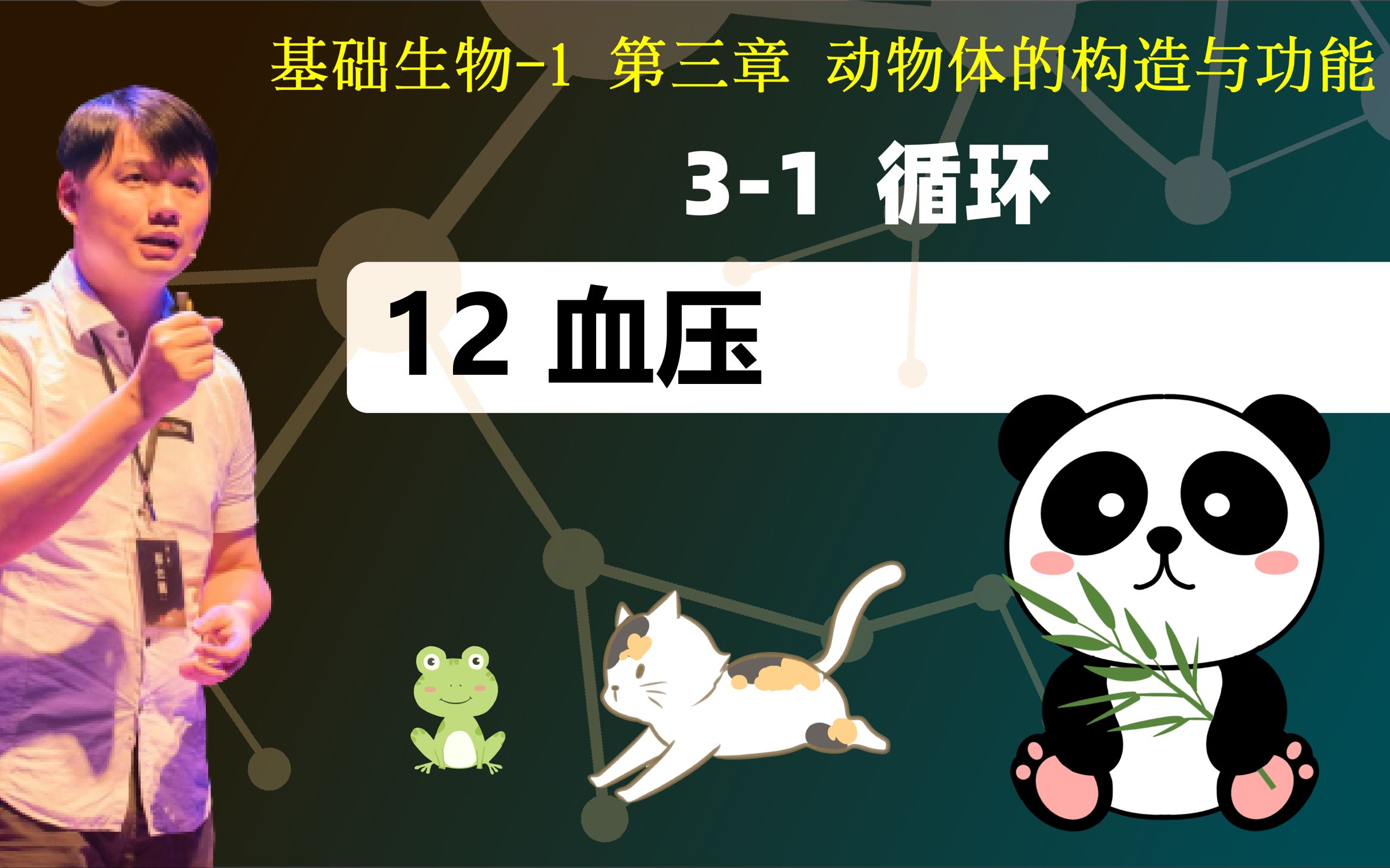 基础生物学3-1.12 血压