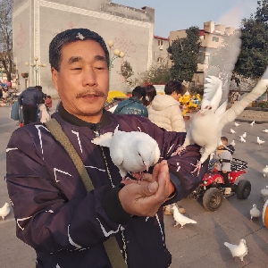 杨立国冀 