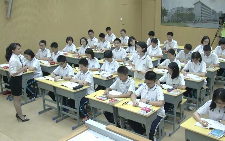 七下:《驿路梨花》(含课件教案) 名师优质公开课 教学实录 初中语文 部...