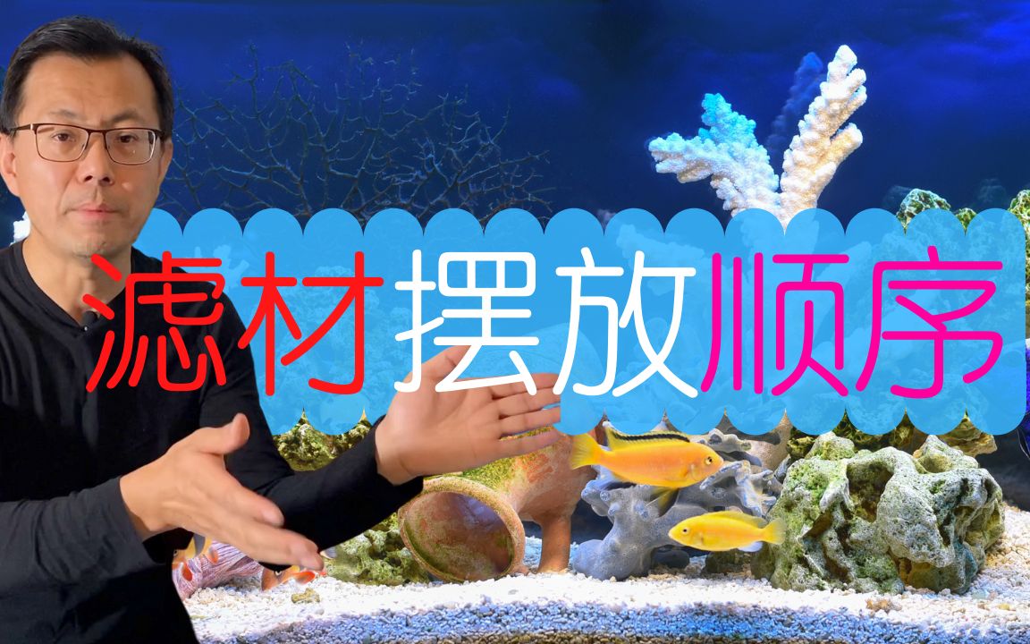 各种滤材的作用,以及滤材摆放顺序。物理过滤,化学过滤,生物过滤为你...