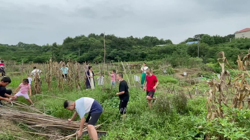 润物助学公益组织的暑期社会实践研学活动