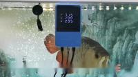 光特亿Q2水质检测phTDS温度的操作视频