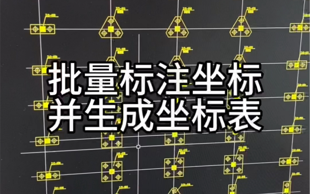 批量标注坐标并生成坐标表