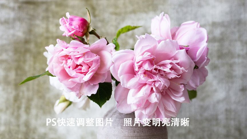 怎样使用Photoshop调整照片亮度?让照片明亮好看的方法