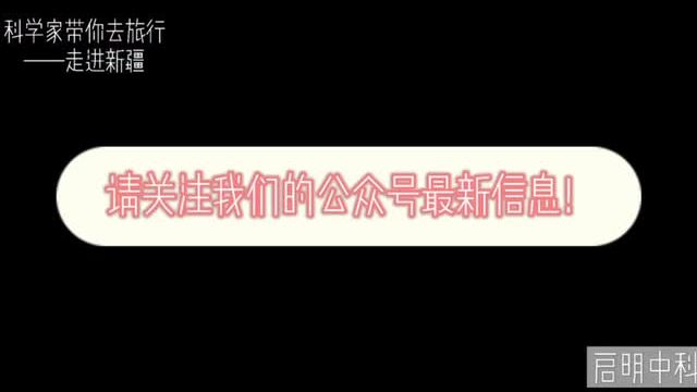 #科学家带你去旅行#走进新疆#研学旅行#活动开启 行程一览