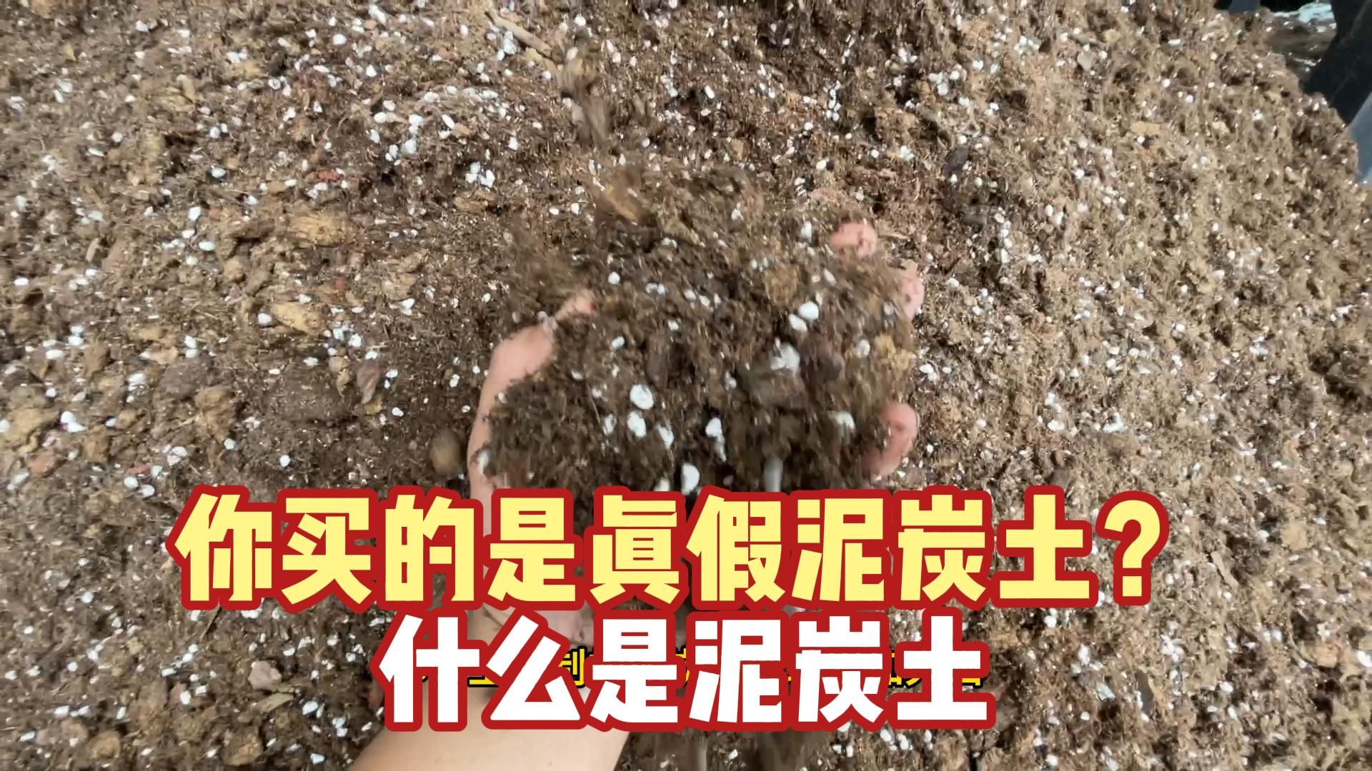 你买的真假泥炭土?什么是泥炭土