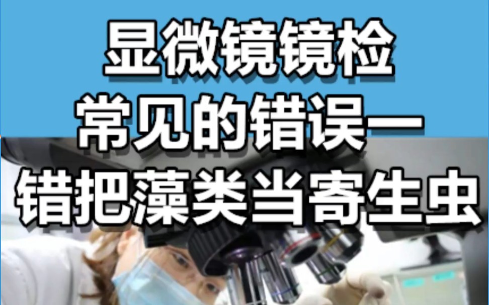 显微镜镜检常见的错误一错把藻类当寄生虫 #显微镜下的世界 #水产...