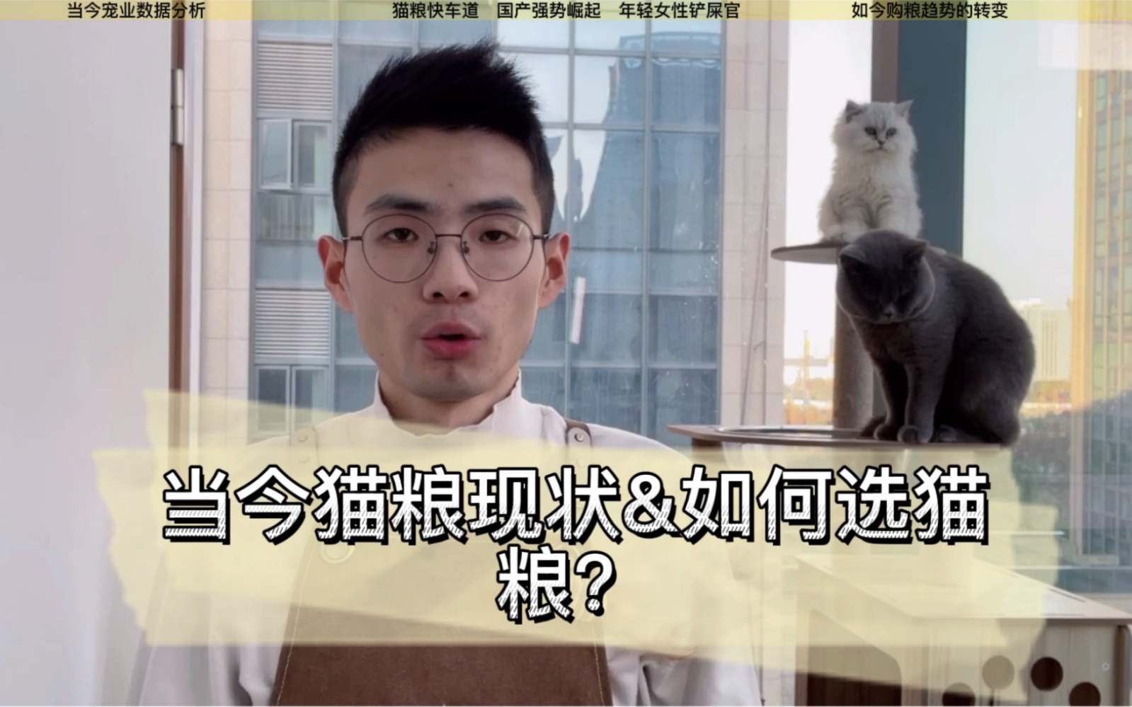 当今猫粮现状下如何选猫粮?