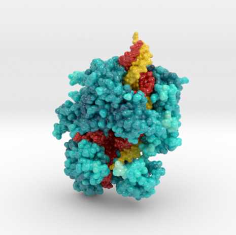 Cas13a 