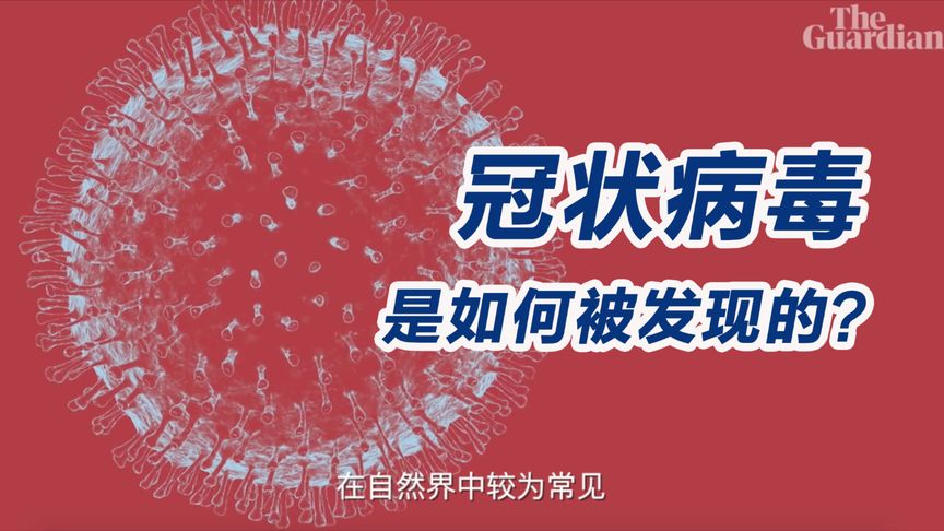 冠状病毒是如何被发现的?