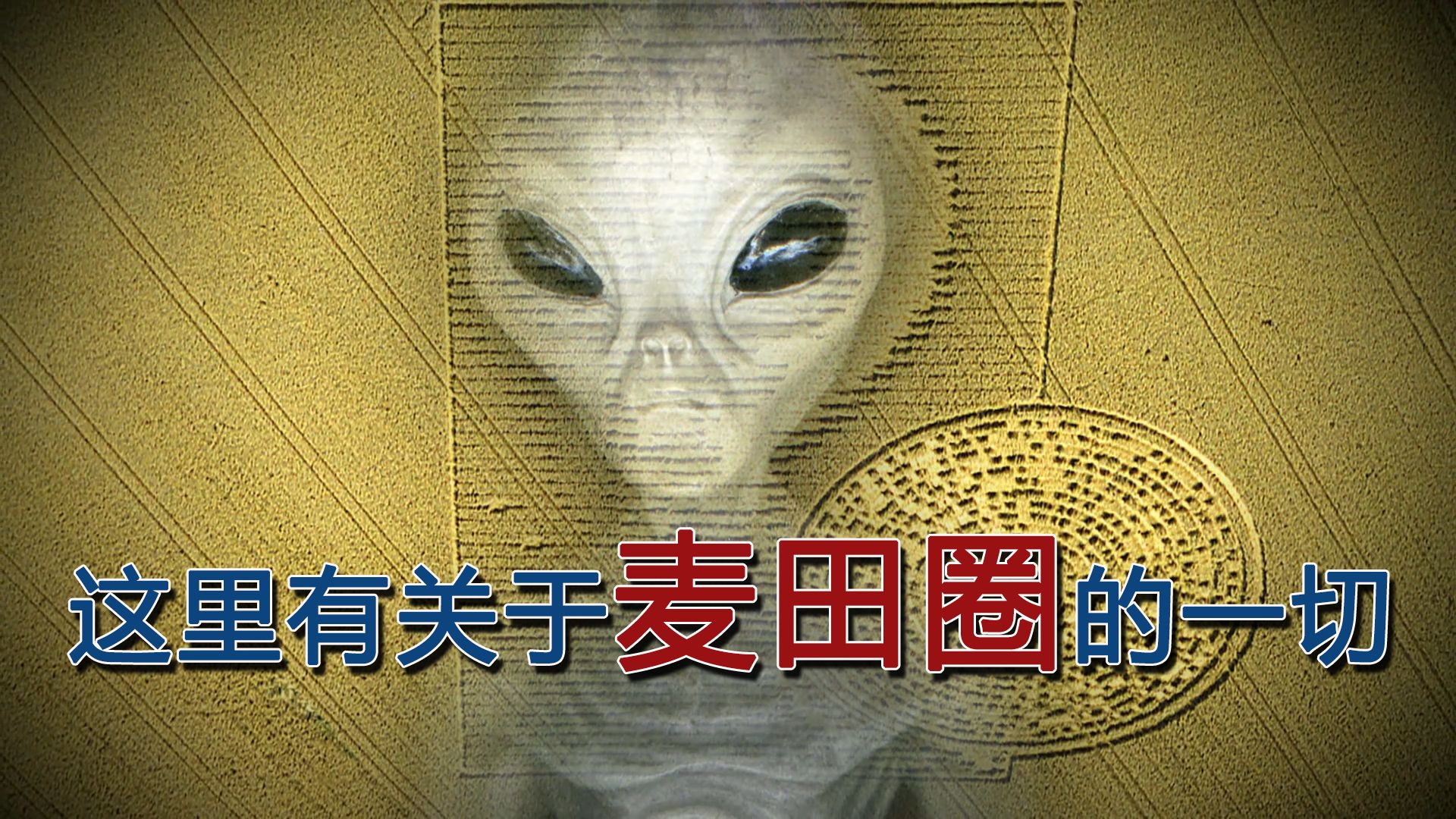 麦田圈都是人造的?别傻了同学!教你如何分辨真假!这里有关于人类对...