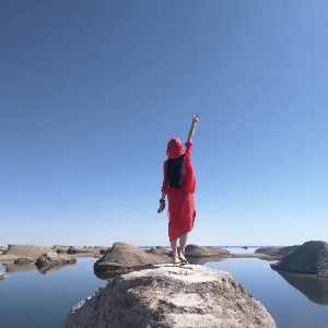 杨柳清晨 