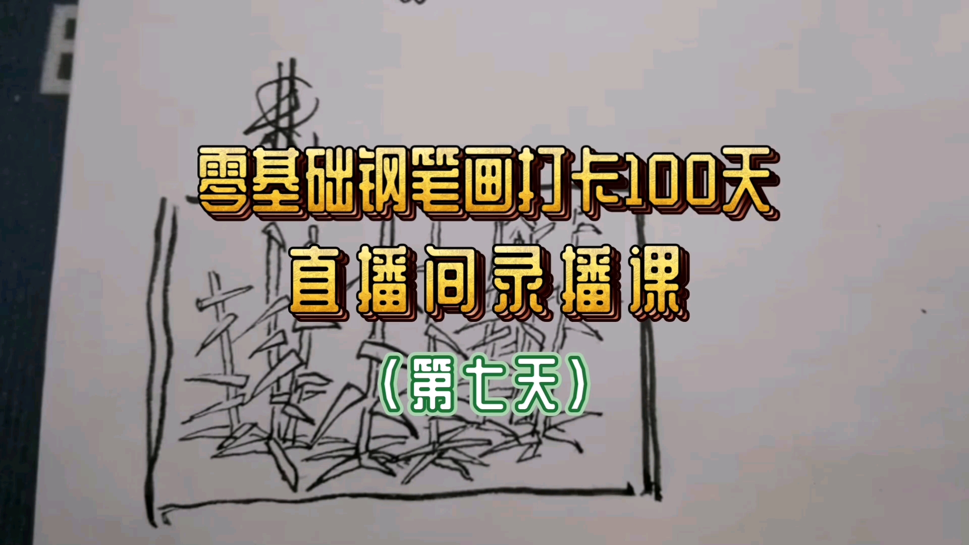 零基础钢笔画打卡100天(第七天)