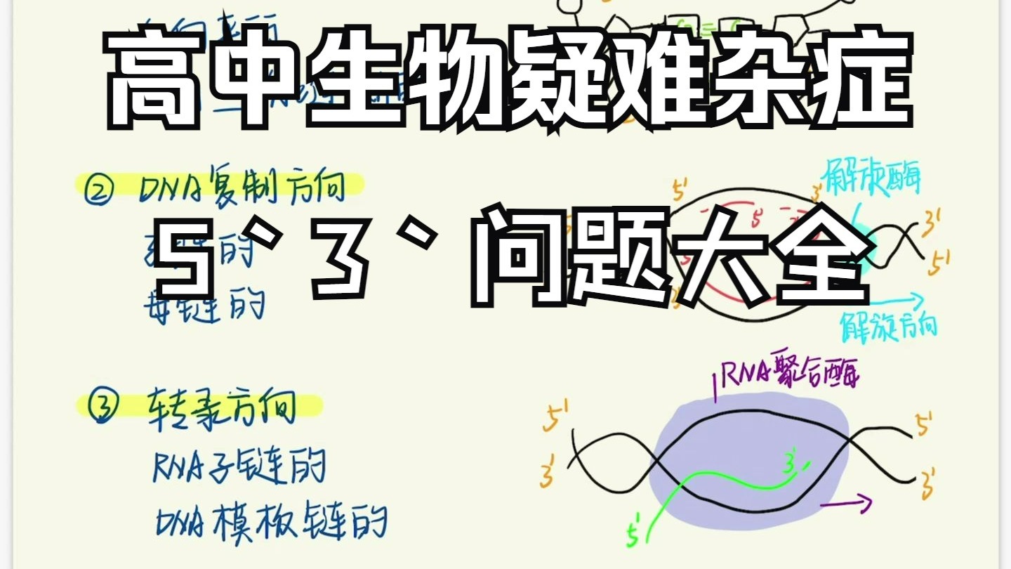 DNA复制转录翻译PCR的方向是5到3还是3到5!