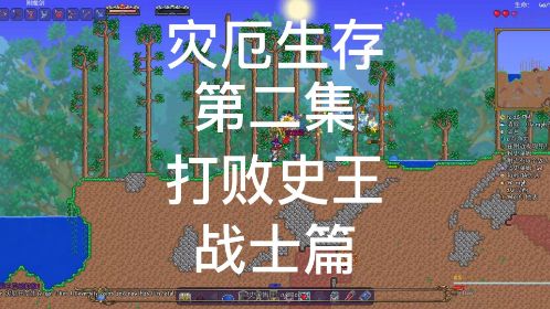 泰拉瑞亚灾厄模组#泰拉瑞亚 #泰拉瑞亚灾厄mod