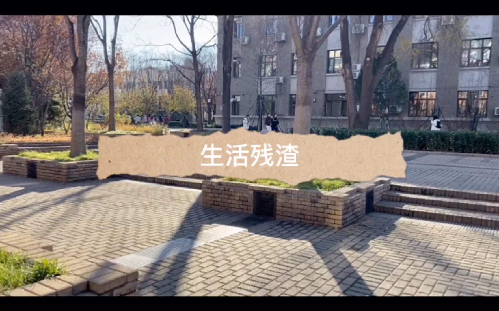 【北京林业大学】关于林大的66’vlog