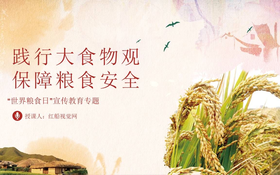 保障粮食安全主题班会团课ppt