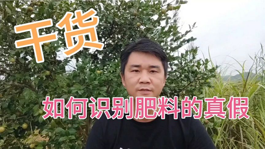 创业9年的80后整理的干货如何辨别肥料的真假,值得收藏的视频!
