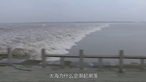 为什么大海会潮起潮落?退潮后的海水又去哪了呢?