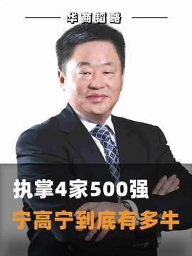 他管理的公司,资产比阿里、腾讯、京东加起来还多。#宁高宁 #公司 #...