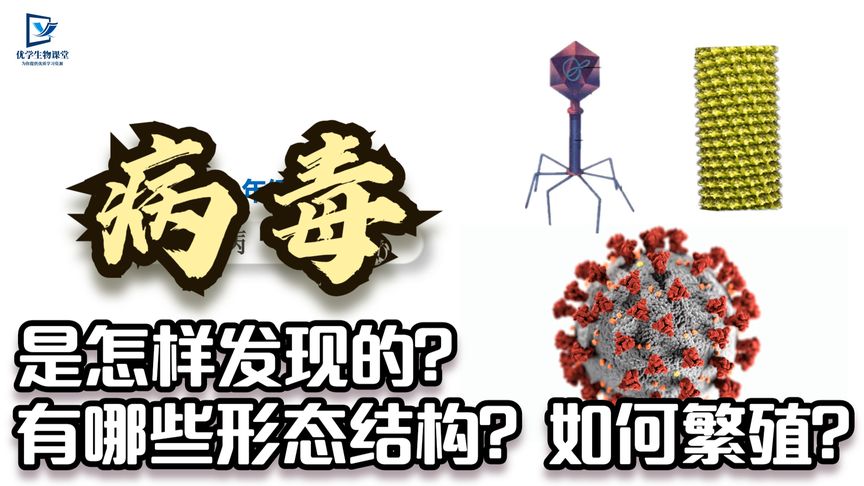 病毒是如何发现的?有哪些形态,结构?如何繁殖?