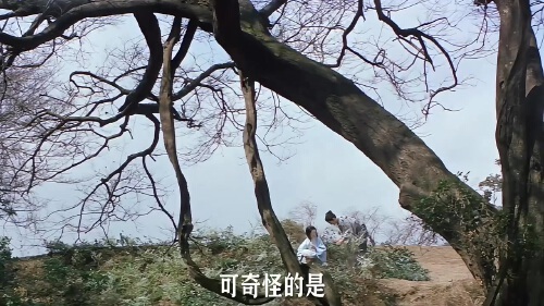 这个电影告诉我们,做人一定要讲诚信,要不像男人一样悔不当初啊!