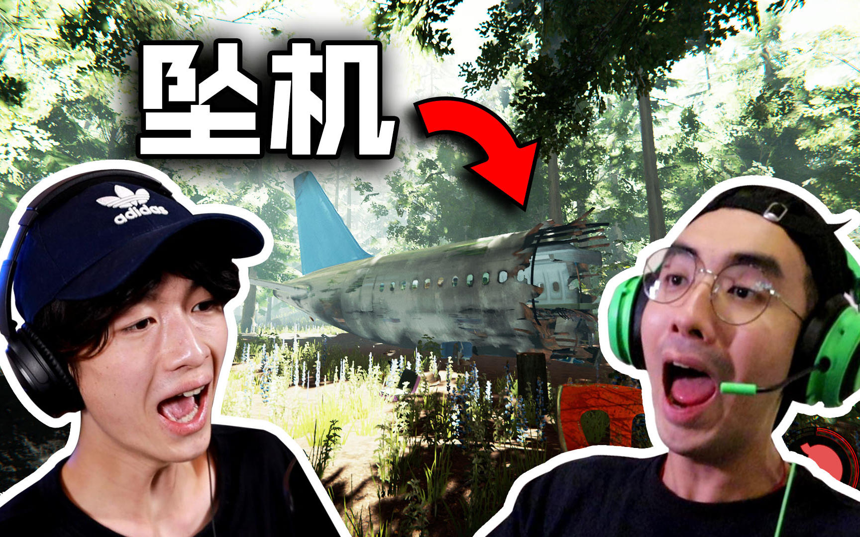 飞机坠毁!与老坛孤岛求生!