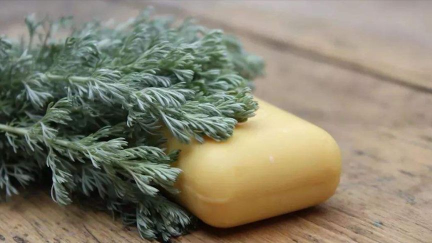 艾叶是“长寿草”,睡前坚持泡脚,3个好处手到擒来