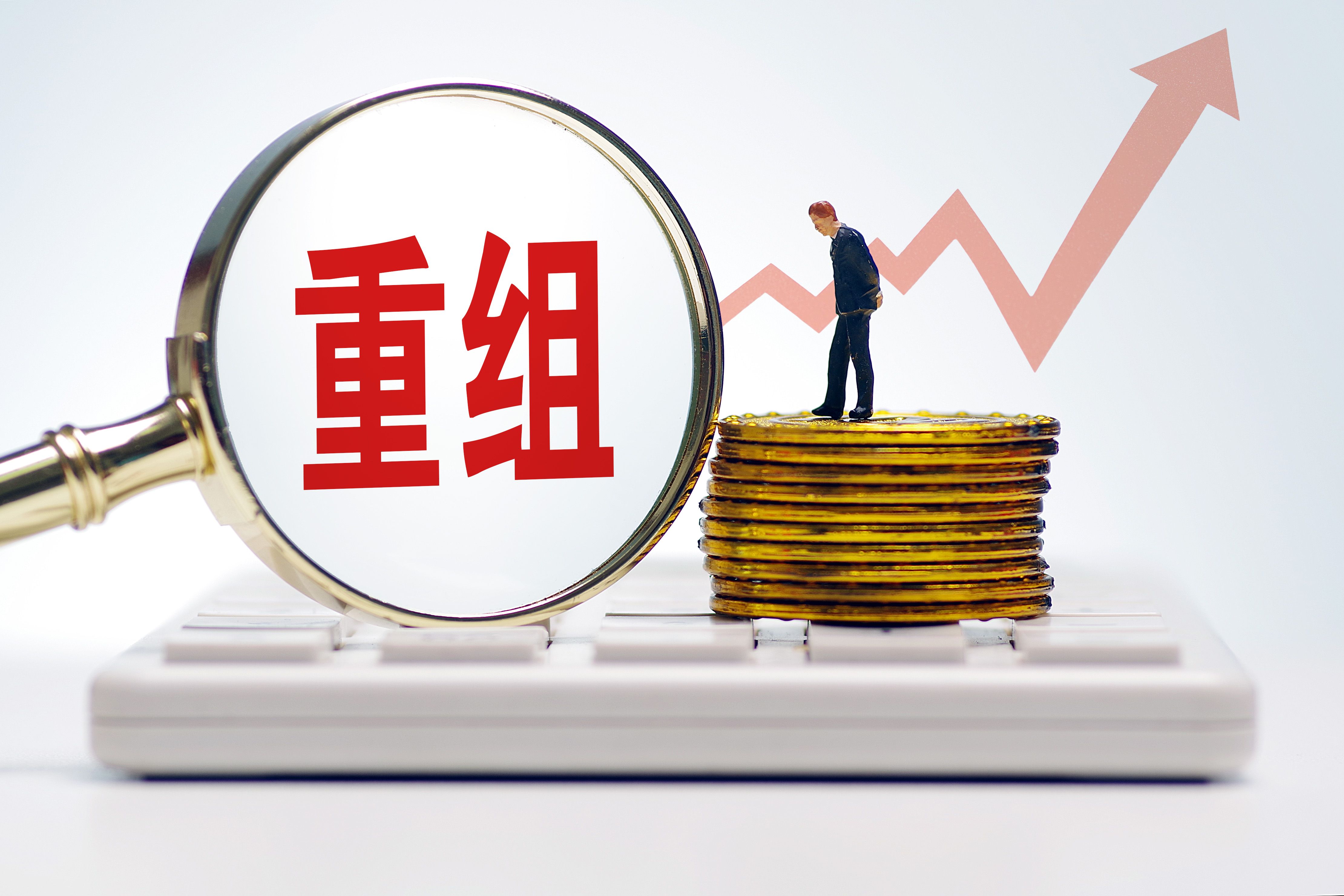 巨树|上市公司并购重组违法违规解读之典型案例剖析整套课程架构