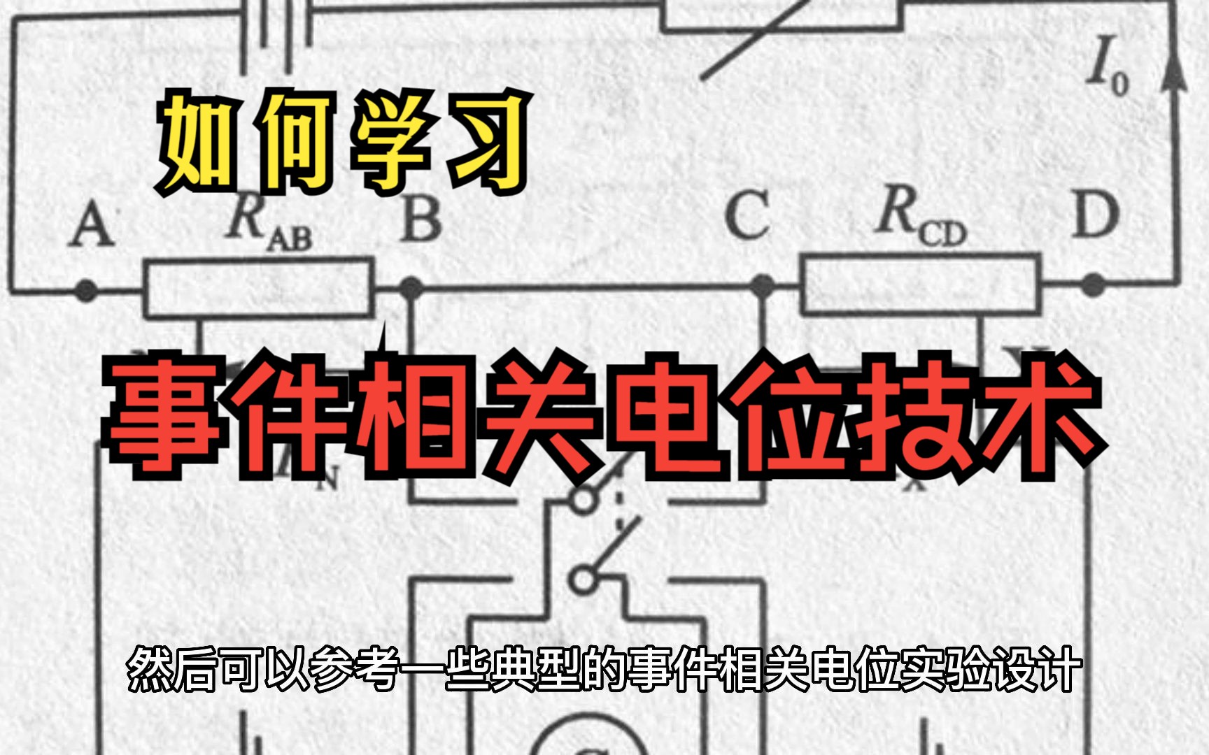 如何学习事件相关电位技术?