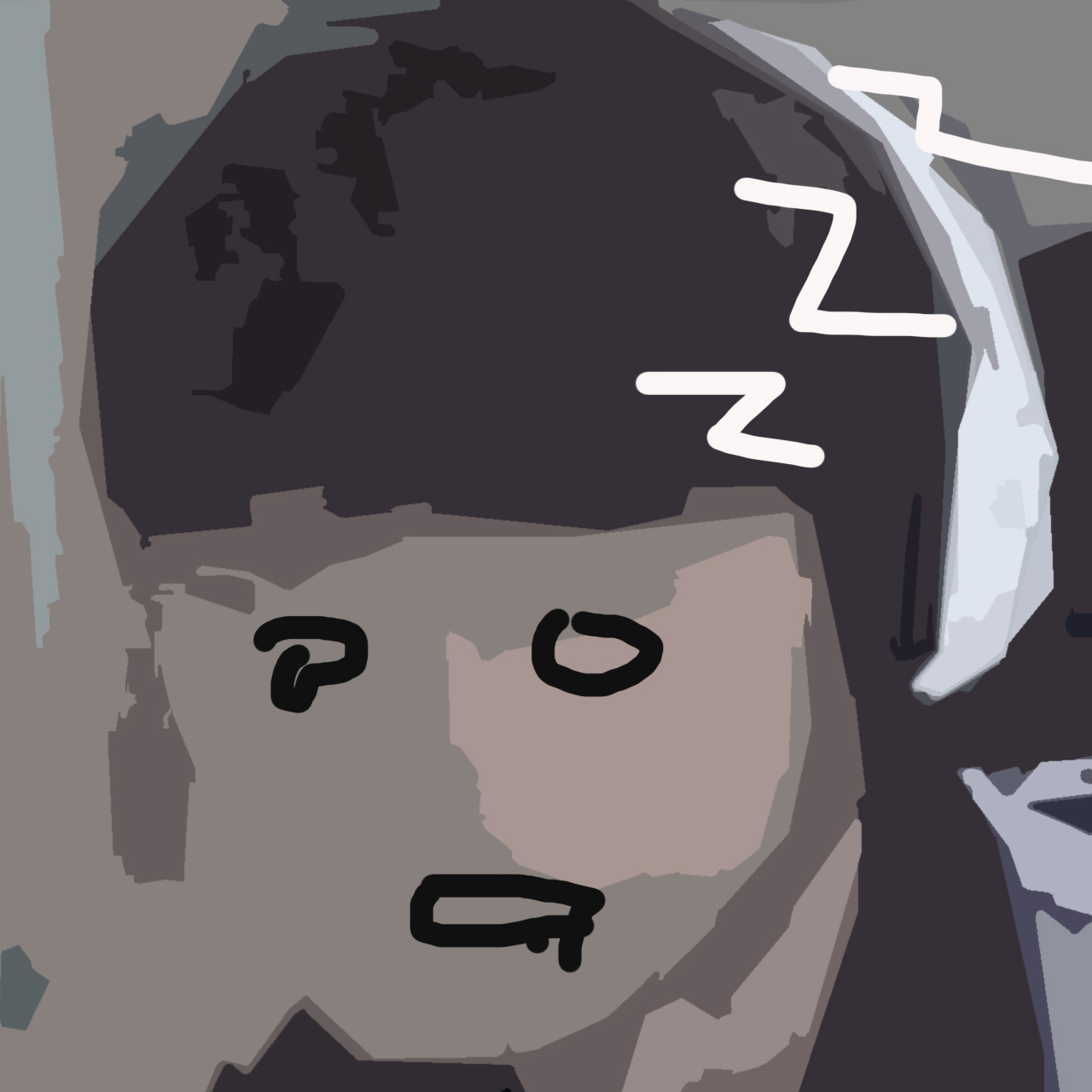 吐司zl8 