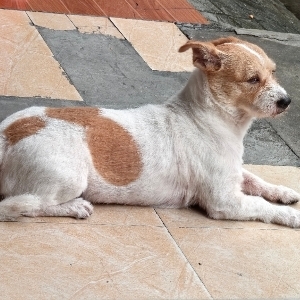 君子爱财随手关灯 